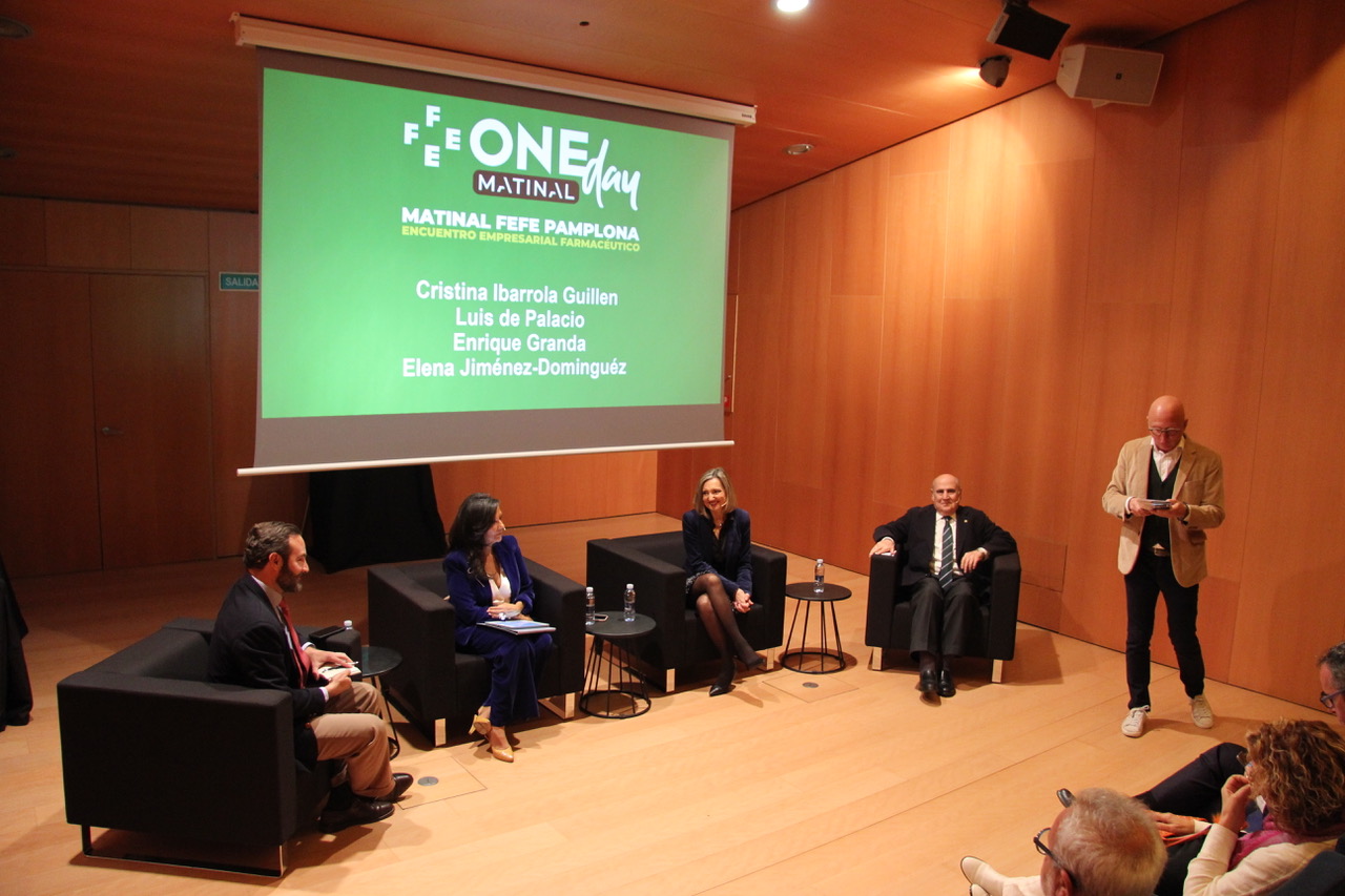 Conclusiones del FEFE ONEDAY MATINAL en Pamplona - FEFE | Federación ...